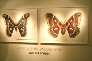 A night out with Bergdorf Goodman. Bonne travaillez Joseph Scheer.