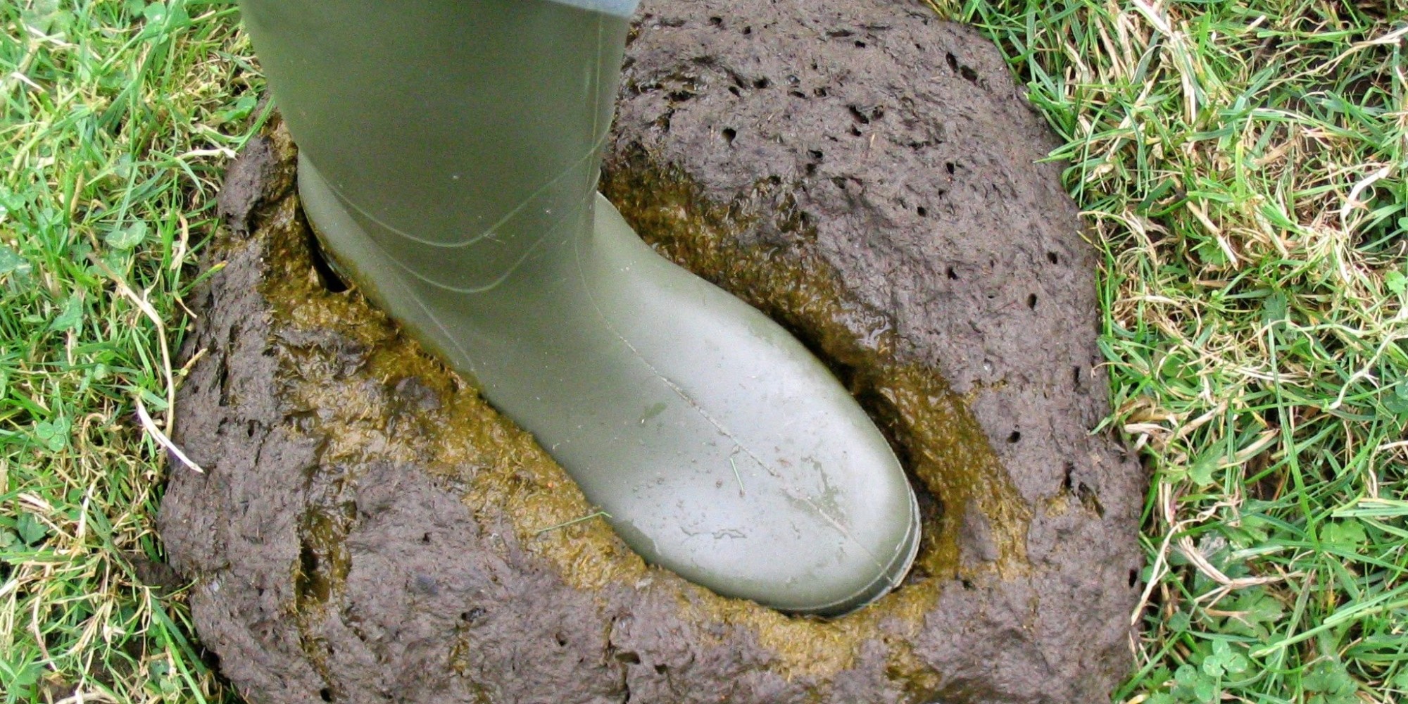 Oh really? David Truscott cow manure fetish lands 8 year jail sentence