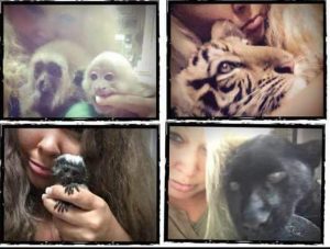 Trisha Meyer Texas mom arrested: Meet my 4 tigers, 8 monkeys, fox and skunk