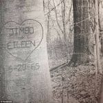 James and Eileen Locke: Married couple for 50 years run over and killed ...
