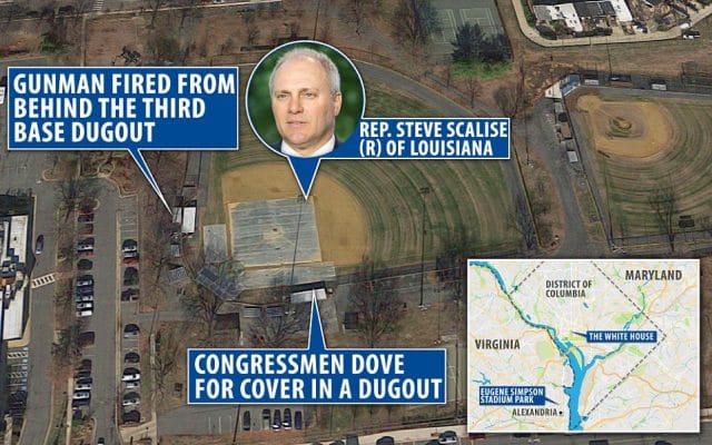 Why? James T. Hodgkinson launches Republican baseball shooting attack