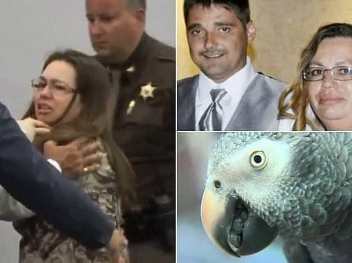Breaking Scandal News & Todays Top Stories