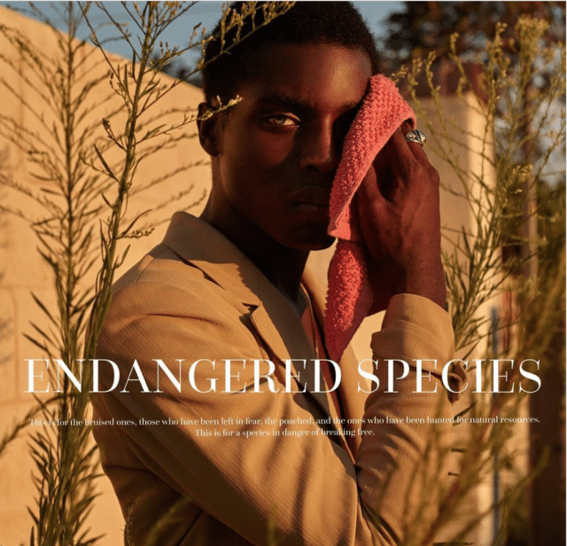 Mekhi Alante Lucky is Prison Bae; Prison felon with troubled history ...