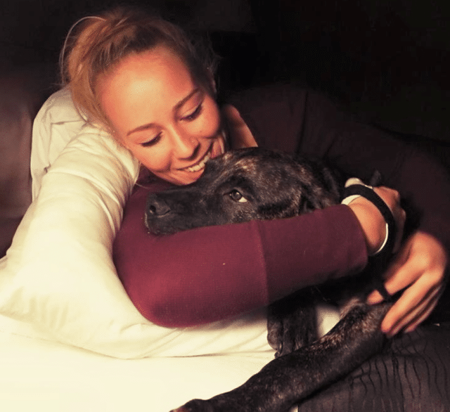 Why did Bethany Stephens pit bull dogs turn on her? Undernourished?