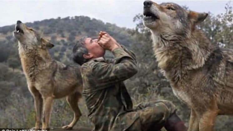 Marcos Rodriguez Pantoja Spanish man who lived with wolves (for 12 ...