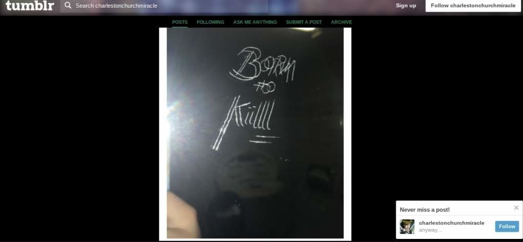 Elizabeth LeCron social media: Dylann Roof fan glorified violence