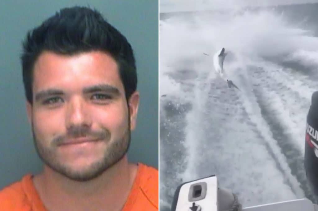 Michael Wenzel pleads guilty to shark dragging video causes outtrage