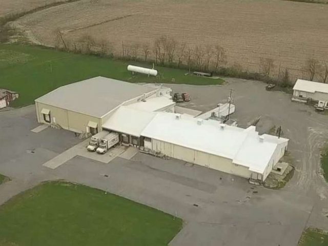 Jill Greninger killed after falling into Pennsylvania commercial meat ...