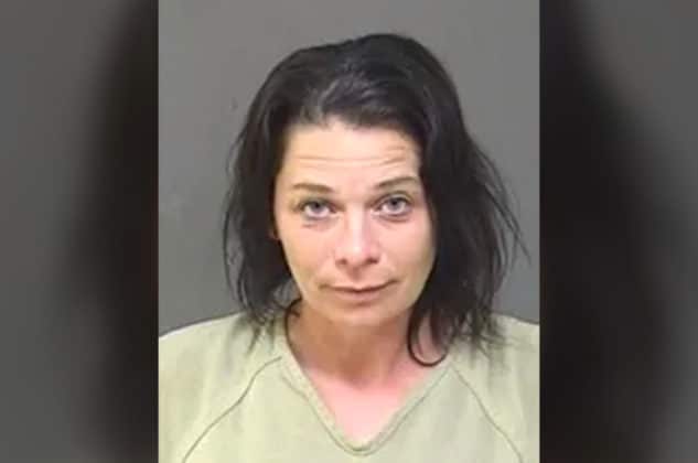 Janet Gartner Ohio mom & meth drug dealer sentenced 11 years jail