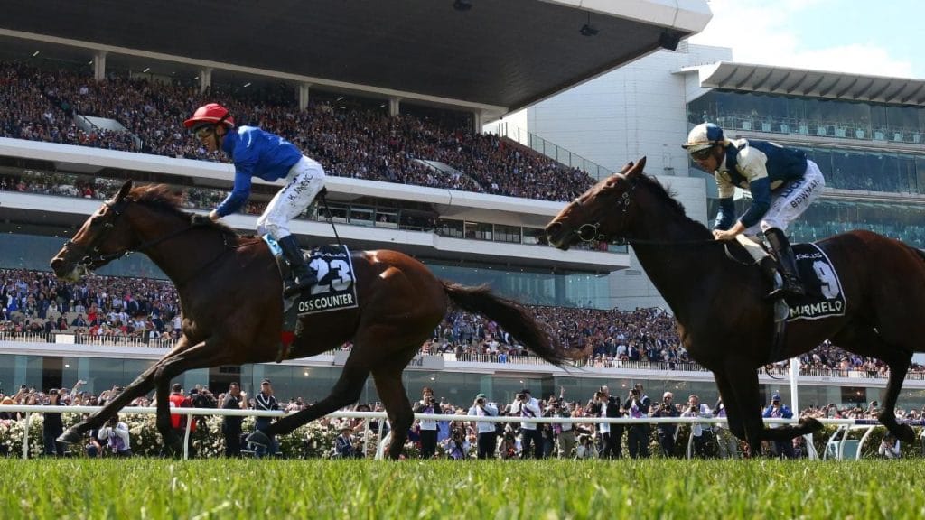 Successful Punting Depends On Discipline: Sports Betting Strategy