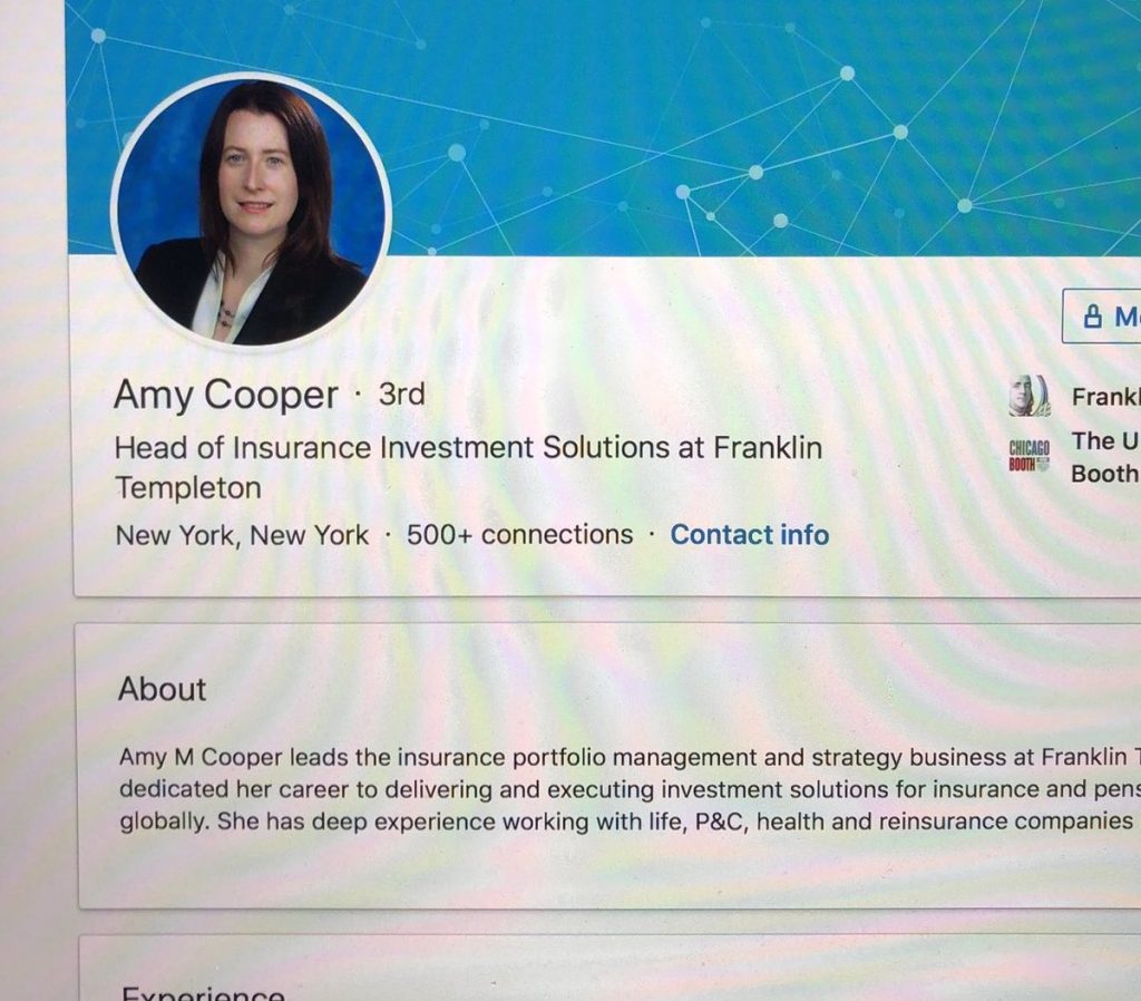 Amy Cooper Franklin Templeton employee calls cops on African American