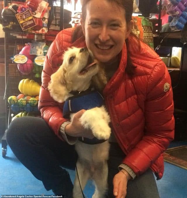 Amy Cooper Franklin Templeton VP fired over false black man threat