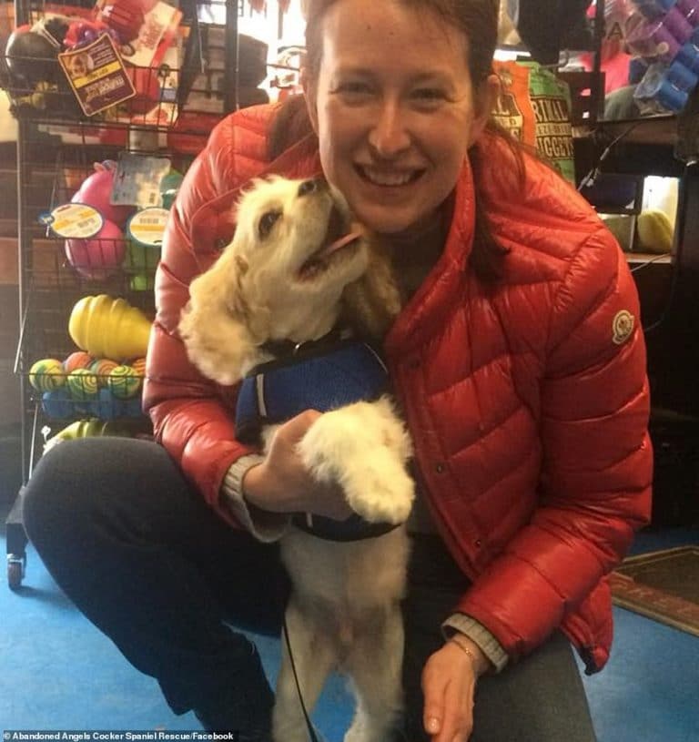 Amy Cooper Franklin Templeton VP fired over false black man threat