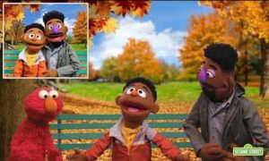 Sesame Street introduces two black muppets: identity politics over-drive?