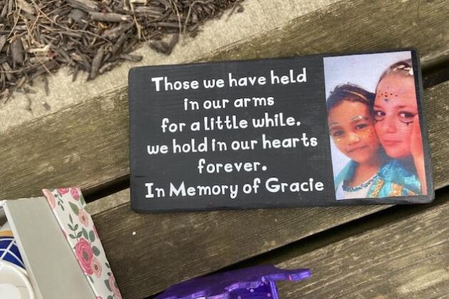 Grace Ross New Carlisle, Indiana girl, 6, murdered by 14 year old teen boy