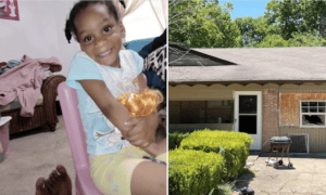 Lea Freeman 4 yr old girl killed in dog attack: mom blames friend