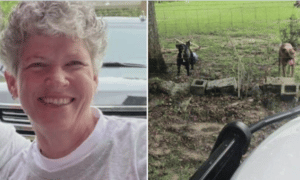 Pamela Rock USPS mail worker killed in dog attack: prior offences