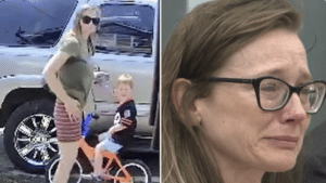 Lisa Nacrelli Norwood woman CPS fake worker failed abduction