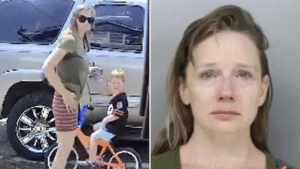 Lisa Nacrelli Norwood woman CPS fake worker failed abduction