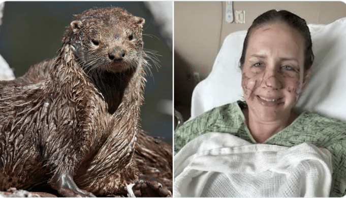Jen Royce otter attack: Montana woman tubing outing nearly lethal