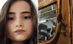 Fernanda Pacheco Ferraz, Brazilian girl on school bus killed freak accident