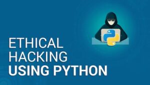 Python in Use: Cybersecurity Practices of a Modern Programmer