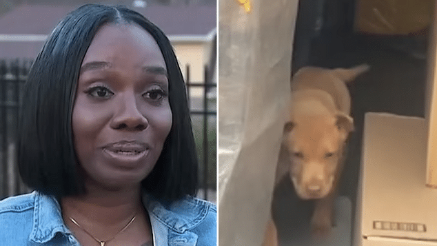 Terrika Currence catches Amazon driver trying to steal her puppy