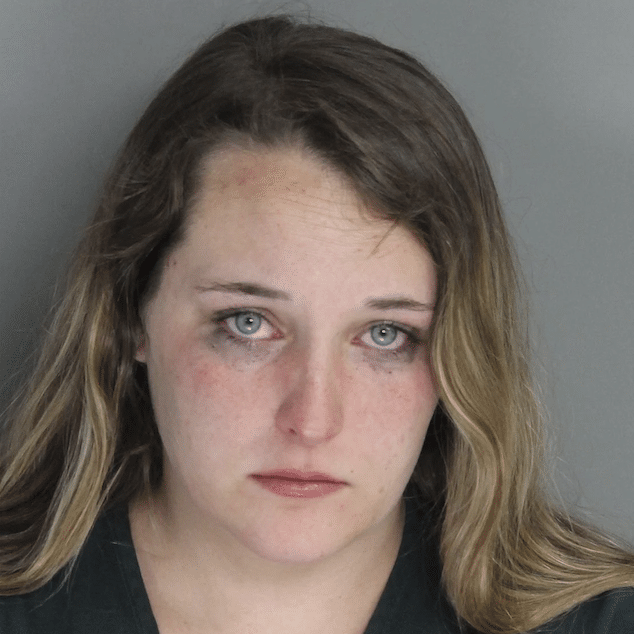 Megan Bodiford missing S.C mom of 3 body believed found