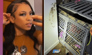 Naesha Lumpkin, Buffalo mom keeps 2 year old in makeshift cage