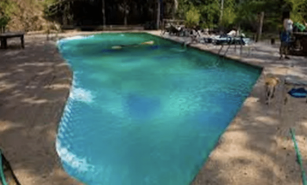 Elizabeth Wolf tries drowning 3 year old after outrage at hijab mom