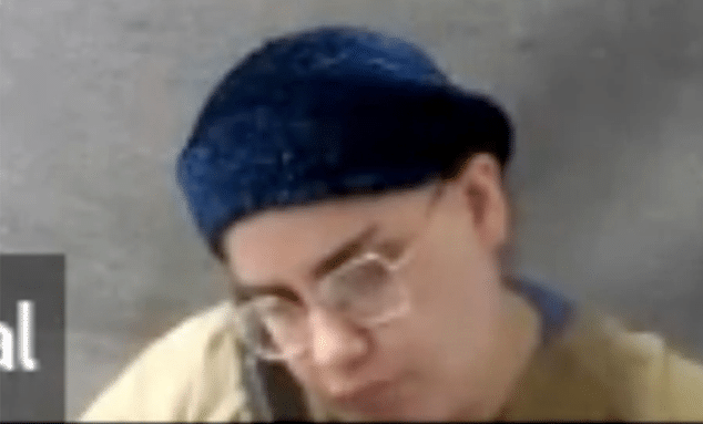 Naomi Elkins, Lakewood, N.J mom drowns kids for religious reasons