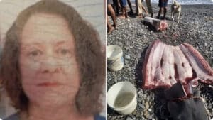 Colleen Monfore eaten by shark during Indonesia dive trip