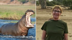 Lisa Manders, NJ woman mauled to death by hippo blames tour operator