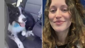 Brennah Montgomery admits to sex abuse of pet dog after starring in 153 ...