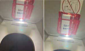 American Airlines perv flight attendant guilty plea raises troubling ...