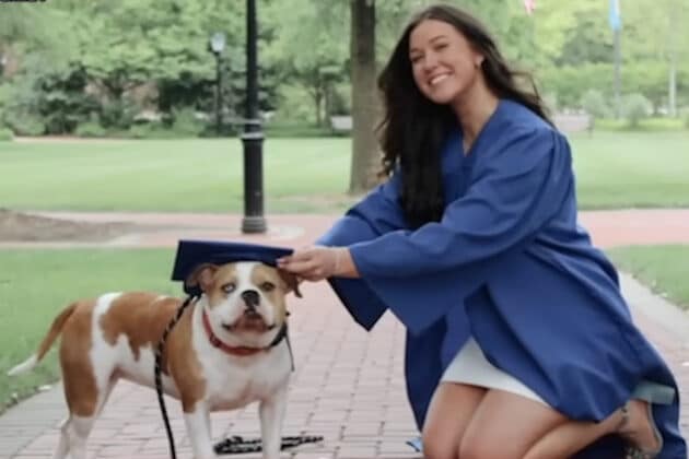 Michael Dutkiewitcz shoots Alyssa Rose Wiest dead fleeing for her life