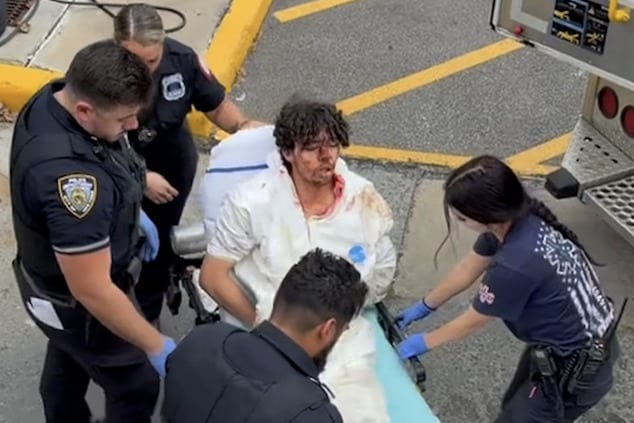 Damien Hurstel Staten Island teen decapitates Anthony Casalaspro