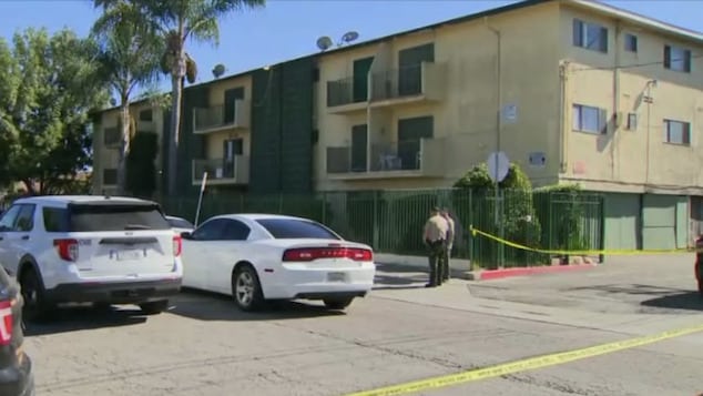 Carson Ryan killed in hunting accident after mistaken for squirrel