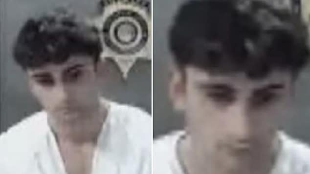 Louis John Artal driving Porsche kills 3 University of Arizona students