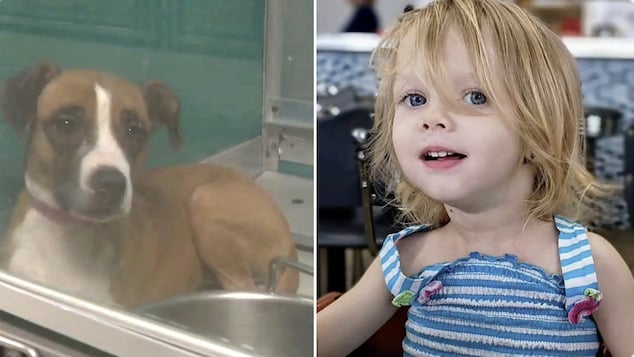 Parents of OKC toddler killed in dog attack charged with first degree ...